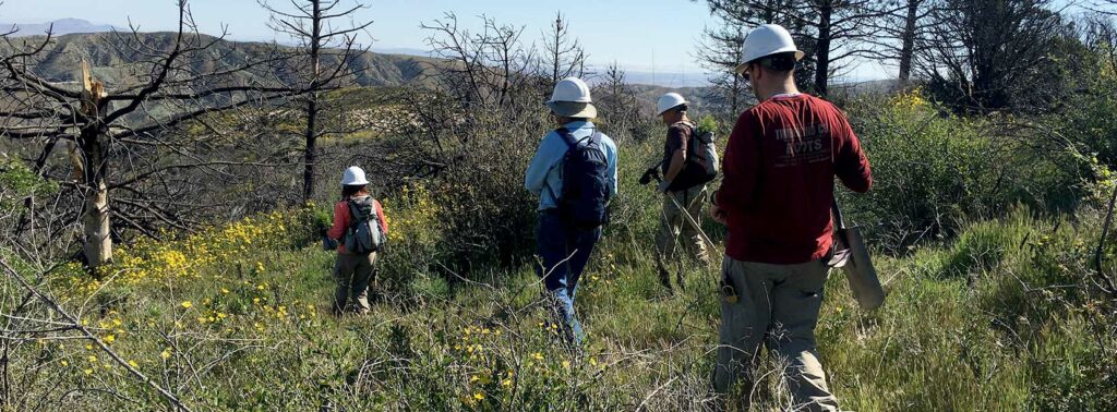 The Psomas Experience – Psomas